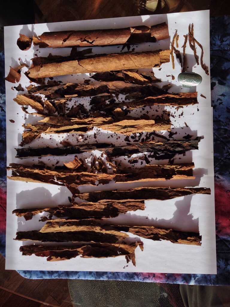 Exploding Cigar? - Non-Cubans - Canada Cigar Forum